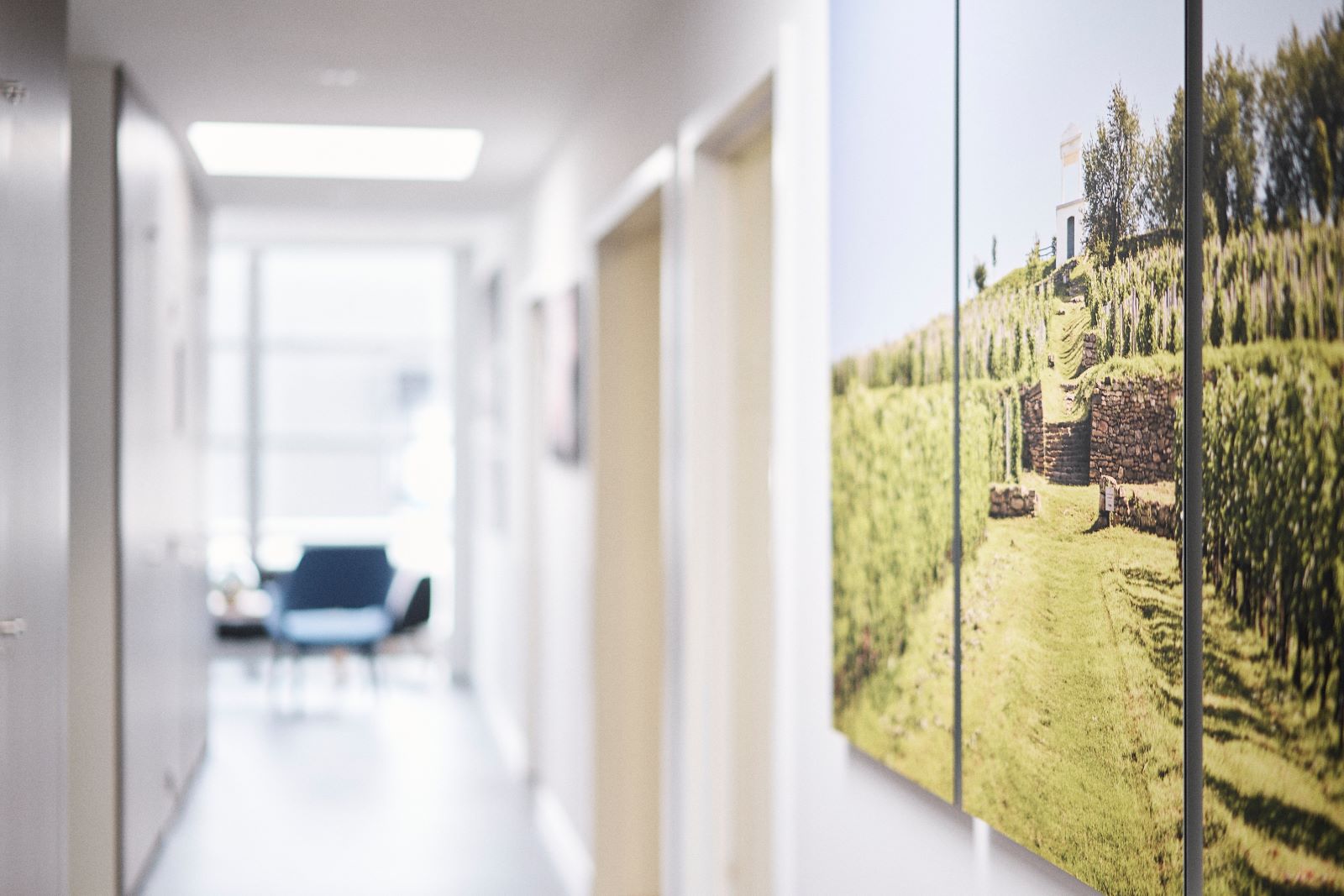 Compagnie Médocaine des Grands Crus - Our Company